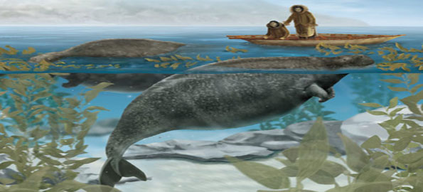 Top 10 Extinct Animals